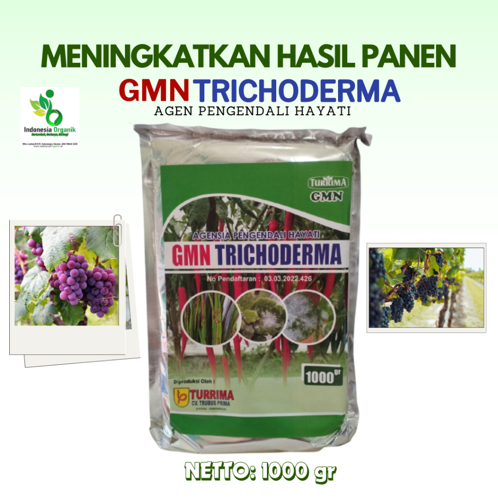 Jual Pupuk Trichoderma untuk anggur Jupiter, Pupuk Hayati padat ...