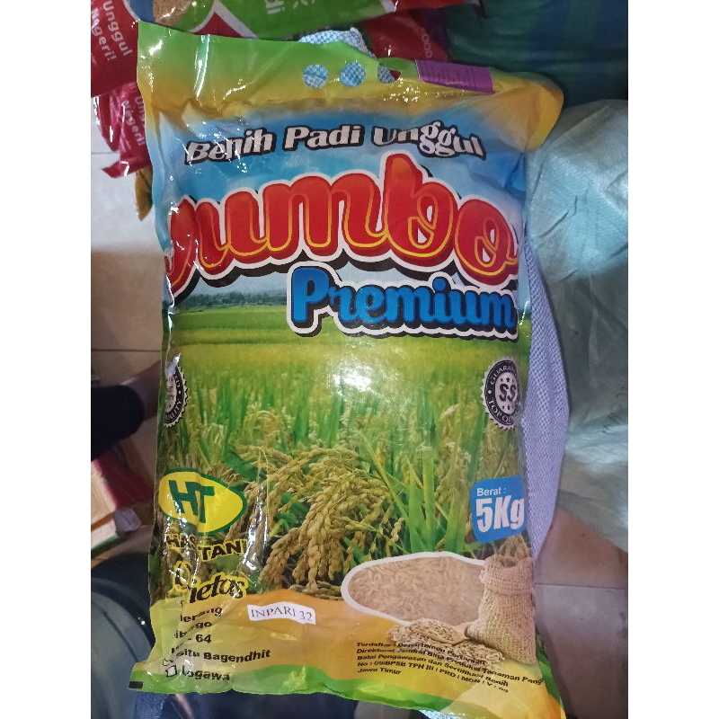 Jual BENIH PADI INPARI 32 JUMBO PREMIUM 5 KG | Shopee Indonesia