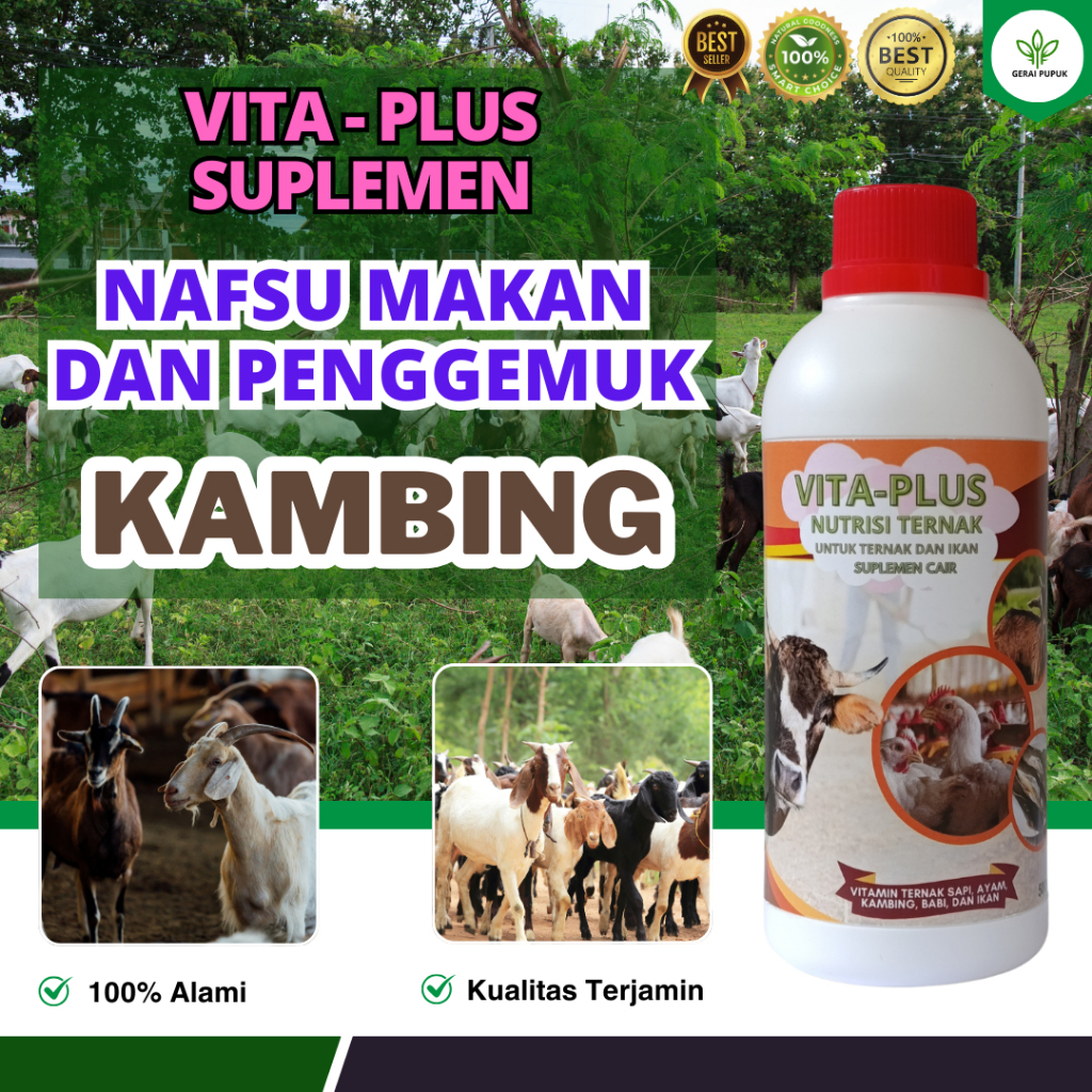 Jual Vitamin Kambing Nafsu Makan Vitamin Kambing Super Gemuk Vitamin ...