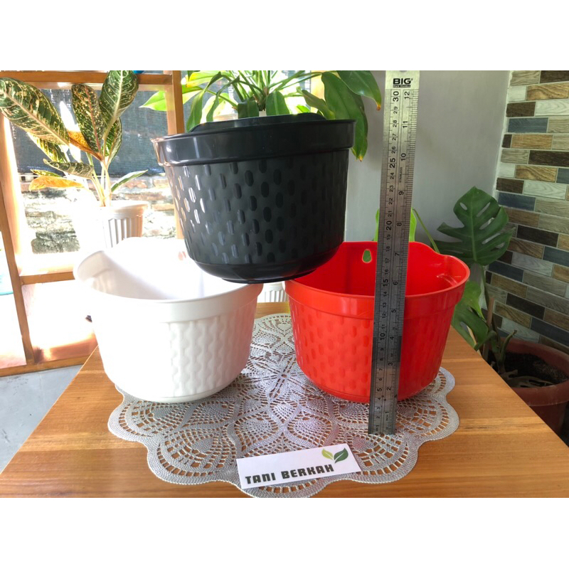 Jual POT DINDING GRADE A (lebih tebal dan tidak tipis) | Shopee Indonesia