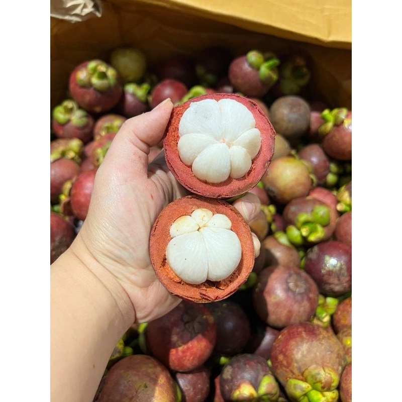 Jual MANGGIS PER KG | Shopee Indonesia