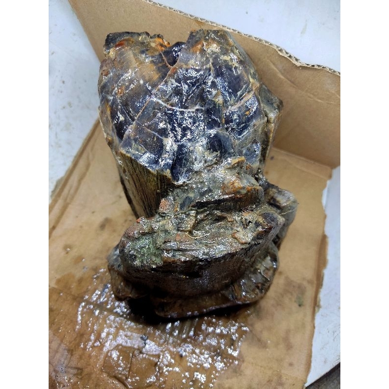 Jual 1 BONGKAH BATU POSIL KAYU BERAT 3,2KG | Shopee Indonesia