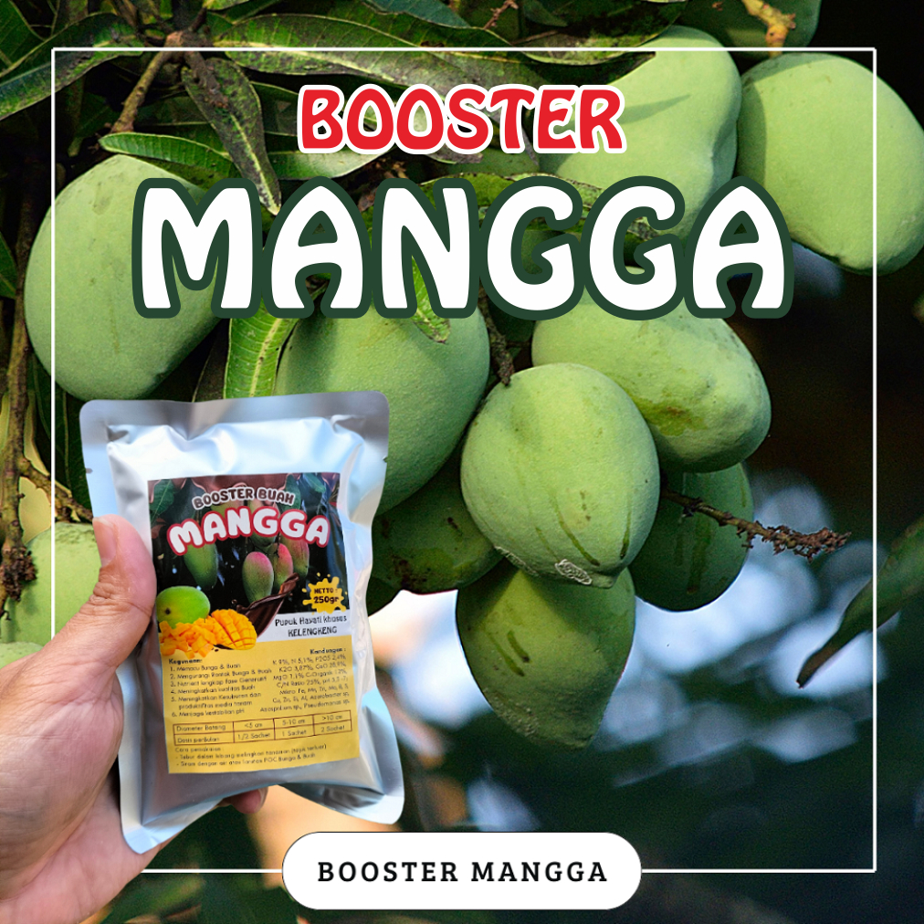 Jual Booster Mangga / Pupuk Booster Hayati Khusus Tanaman Mangga ...