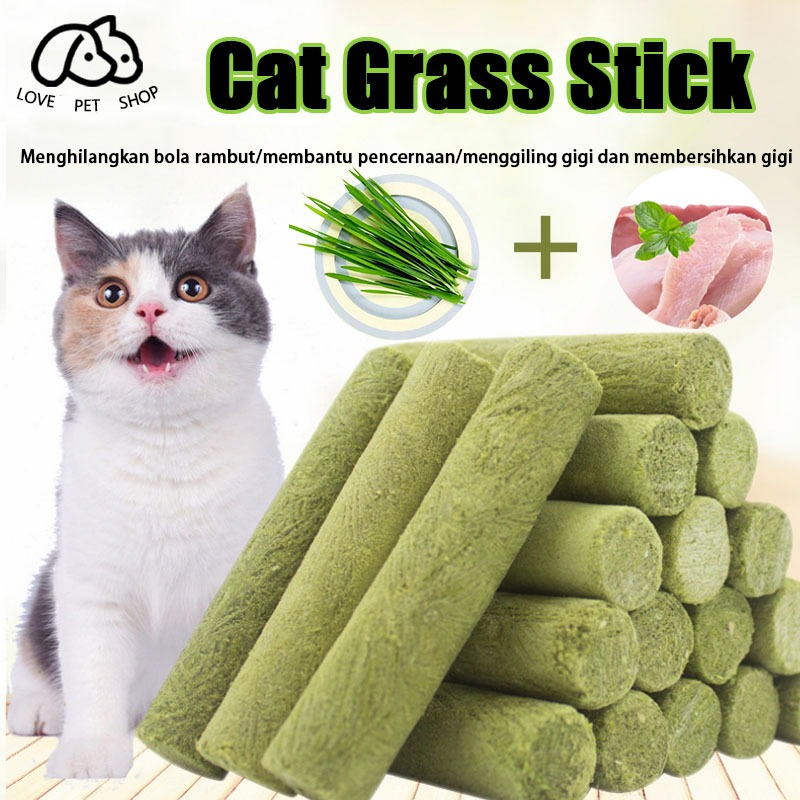 Jual Cat Grass Stick/Camilan Hewan Peliharaan Stik Rumput Kucing untuk ...