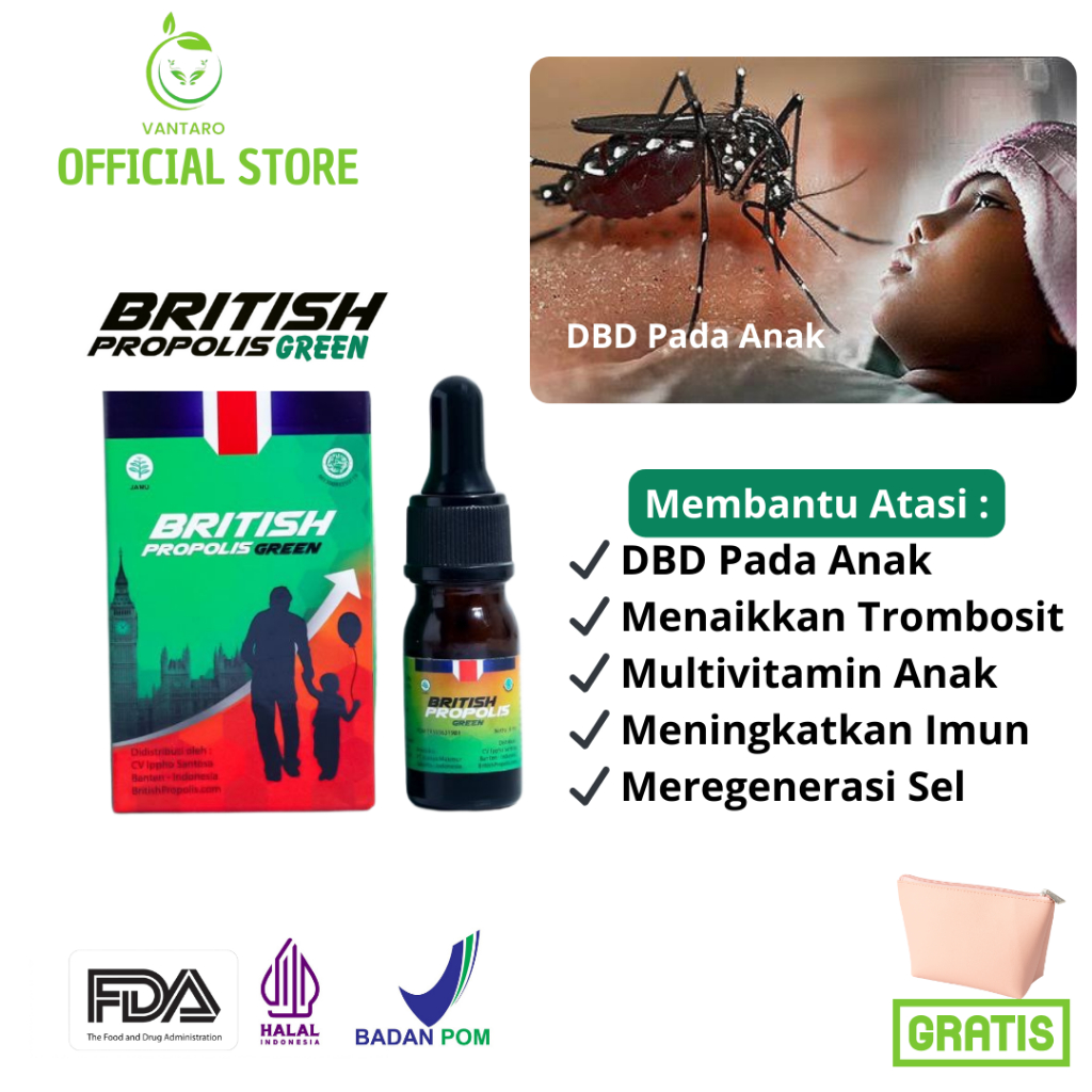 Jual British Propolis Green For Kids Herbal DBD Pada Anak Penambah ...