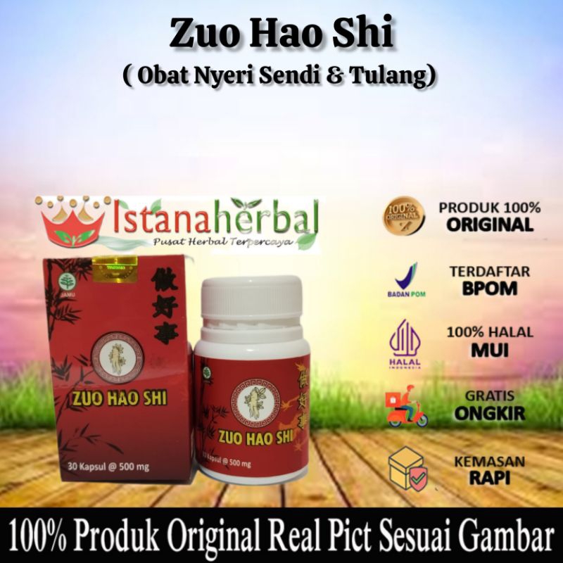 Jual ZUO HAO SHI Asli Original Obat Herbal Nyeri Sendi Dan Tulang Ampuh ...