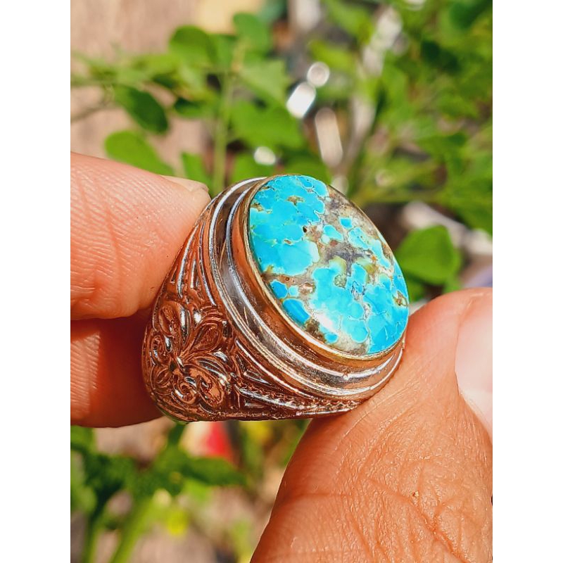 Jual Natural Pirus Persia size 7-8 | Shopee Indonesia