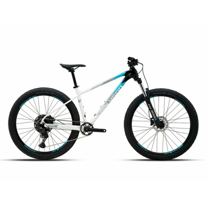 Jual Sepeda Polygon Xtrada 5 Terbaru sepeda MTB | Shopee Indonesia