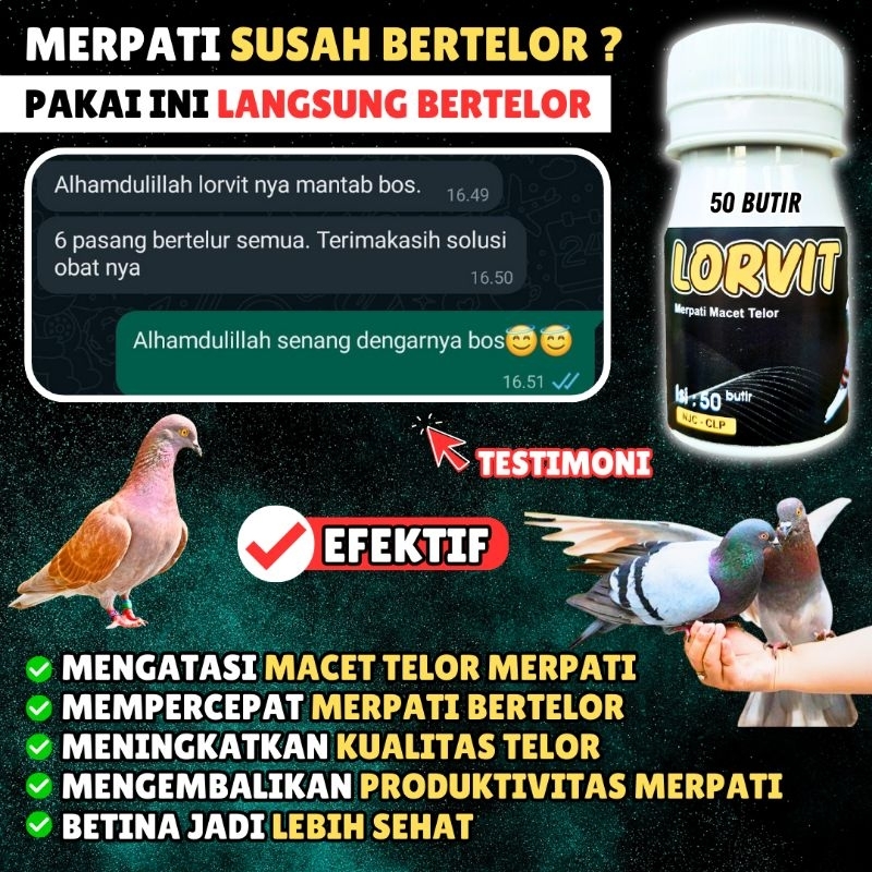 Jual 𝗔𝗠𝗣𝗨𝗛‼️ 𝗠𝗔𝗖𝗘𝗧 𝗧𝗘𝗟𝗢𝗥 𝗠𝗘𝗥𝗣𝗔𝗧𝗜 - Lorvit Merpati Macet Telor | Shopee ...