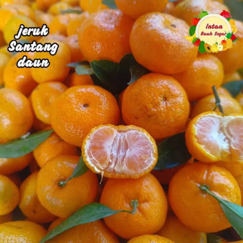 Jual JERUK SANTANG MADU DAUN 500GR MANIS FRESH SEGAR / JERUK KUNING ...