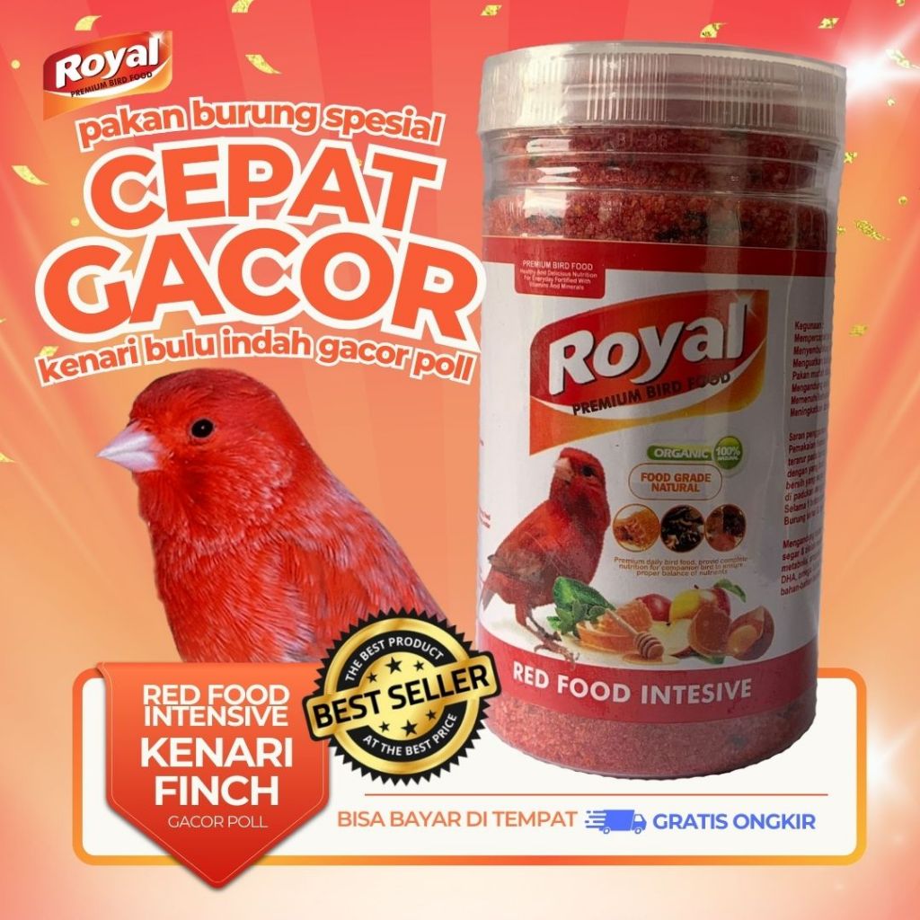 Jual CEDE KENARI RED INTENSIVE SPESIAL KENARI FINCH | Shopee Indonesia