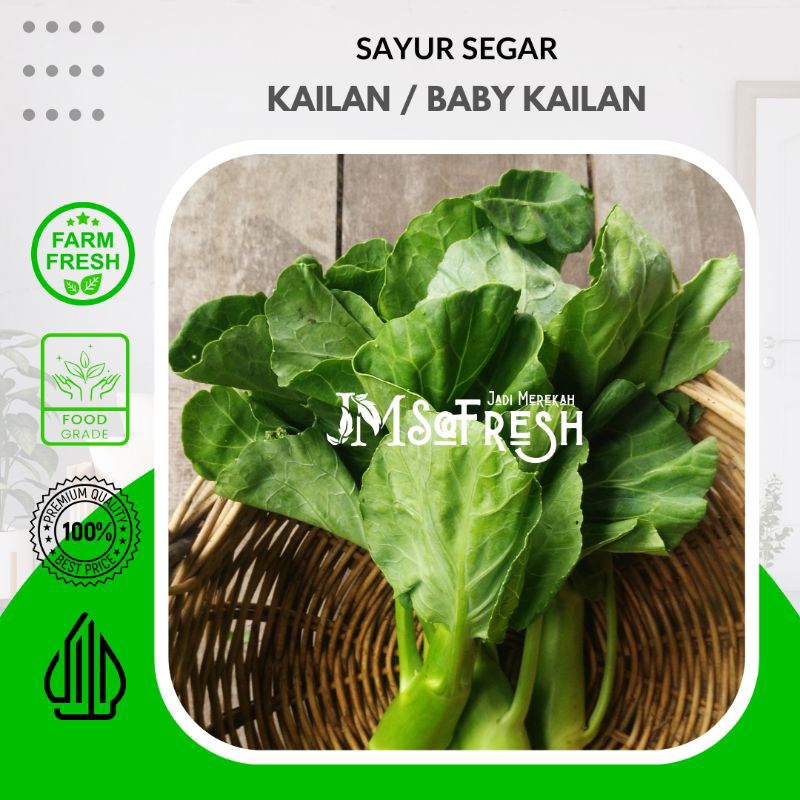 Jual [JM_Sofresh] Sayur Baby Kailan Segar dan fresh 1kg | Shopee Indonesia