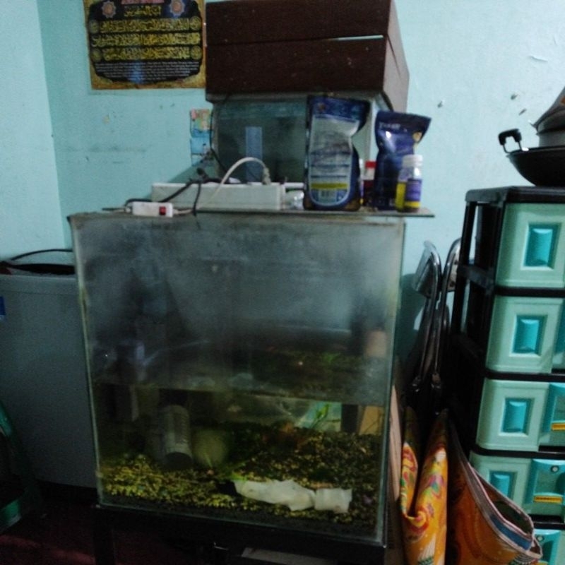 Jual aquarium bekas besar | Shopee Indonesia