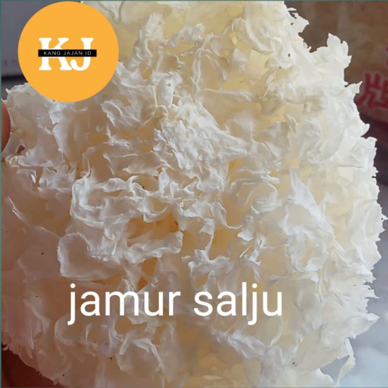 Jual 20 gram jamur salju/jamur putih kering /Fu Yong fong/white funggus ...