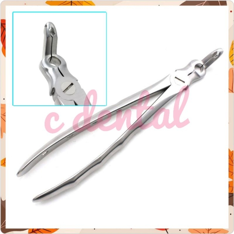 Jual Dental Tang Bayonet Gigi Molar Long Slim Shank Forcep Extraction ...