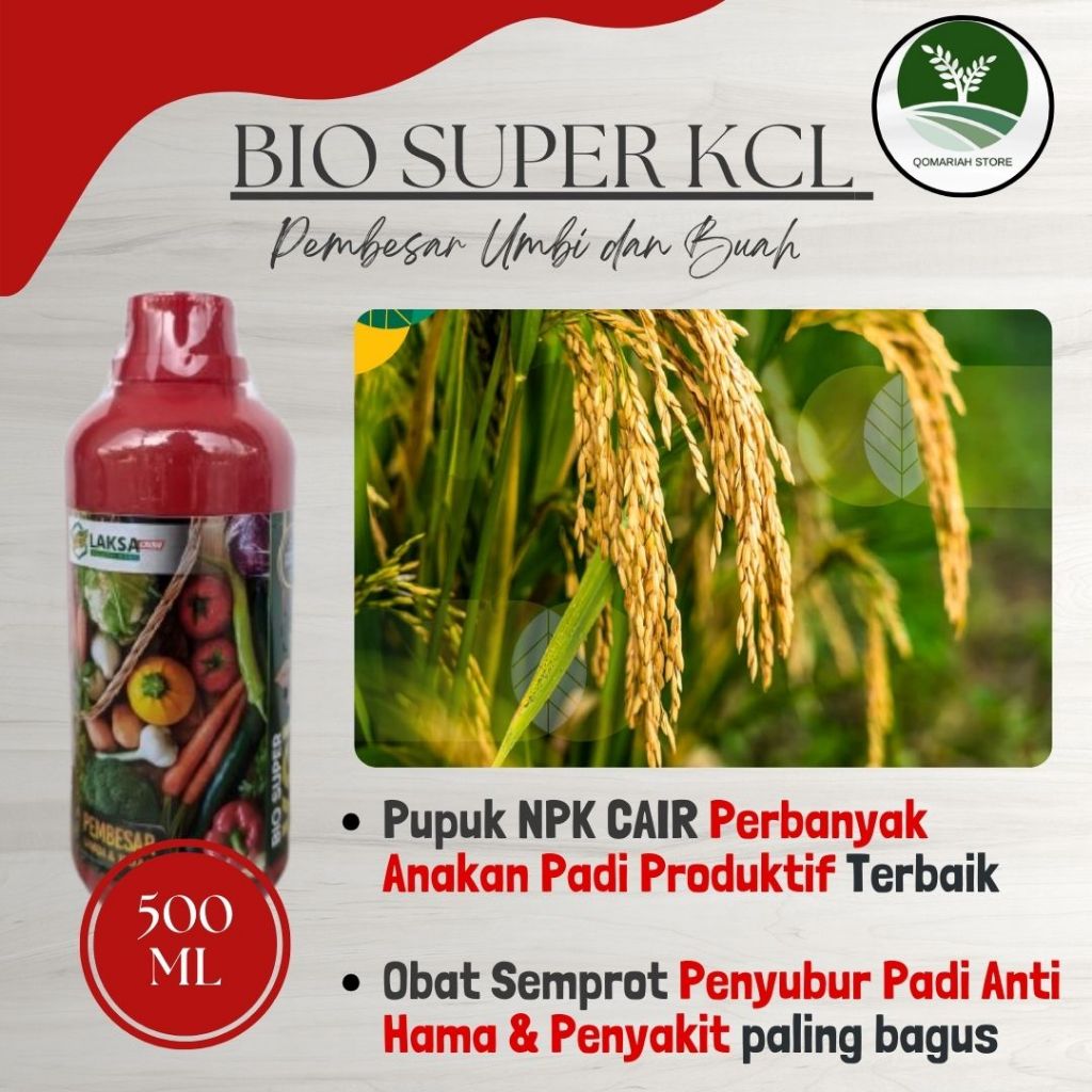 Jual Pupuk Untuk Melebatkan Tanaman Padi Terbaik - BIO KCL 500ml - Obat Untuk Membantu Respirasi ...