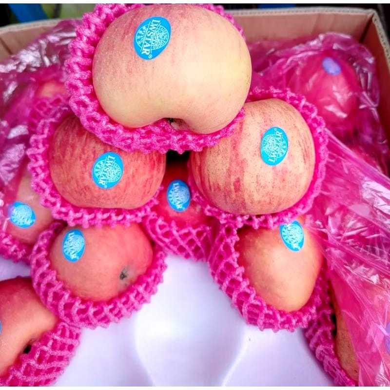 Jual BUAH APEL FUJI RRC CINA MANIS FRESH RENYAH 1KG | Shopee Indonesia