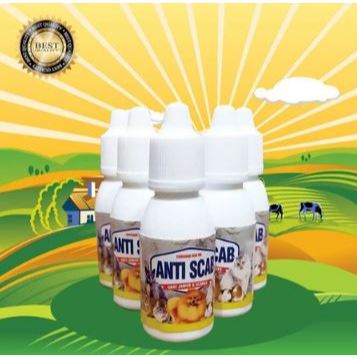 Jual ANTISCAB - Obat Scabies Oles Kucing Kelinci Anjing Guinea pig Hair ...