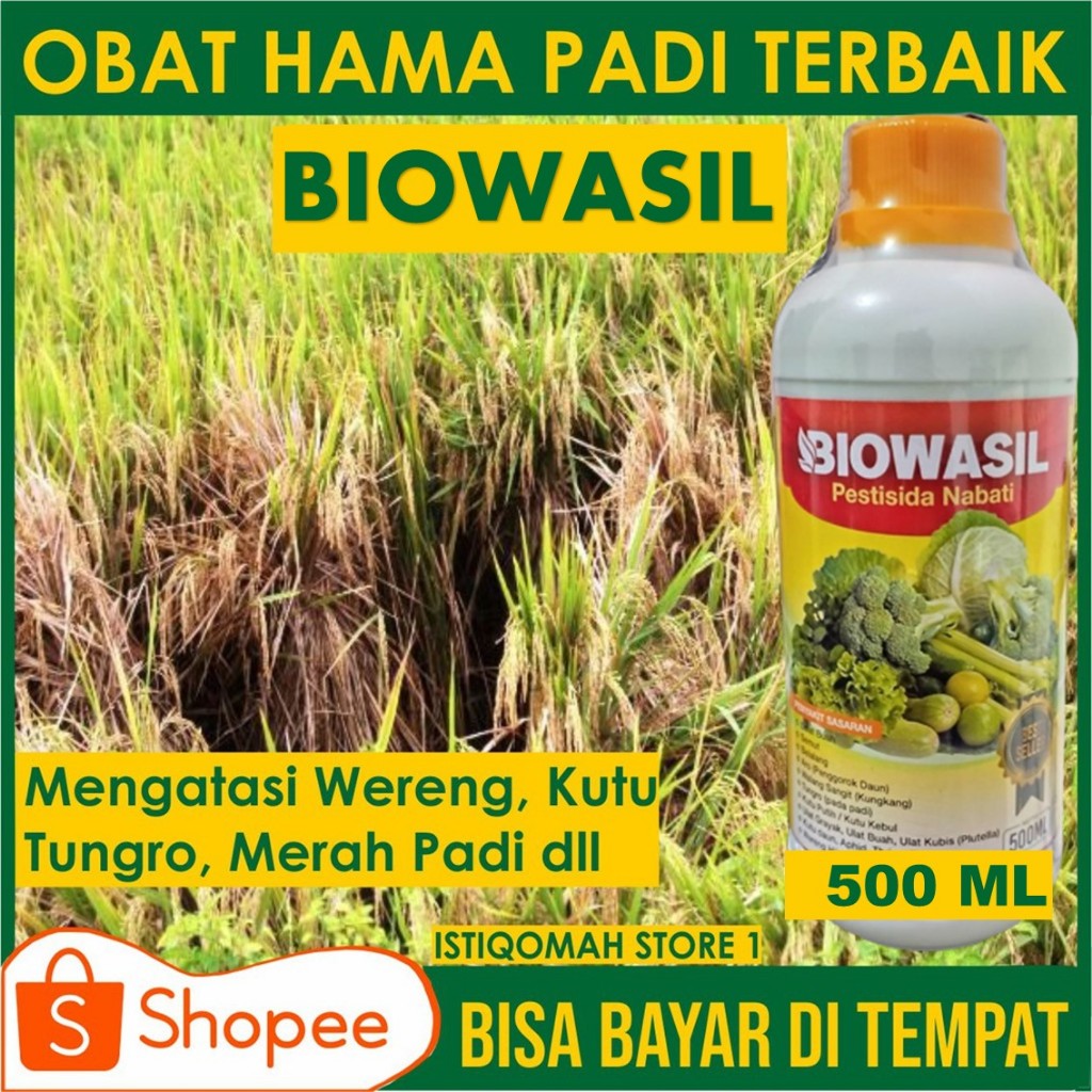 Jual 100% ORI BIOWASIL Pestisida Organik Obat Hama Padi, Mengatasi Hama ...