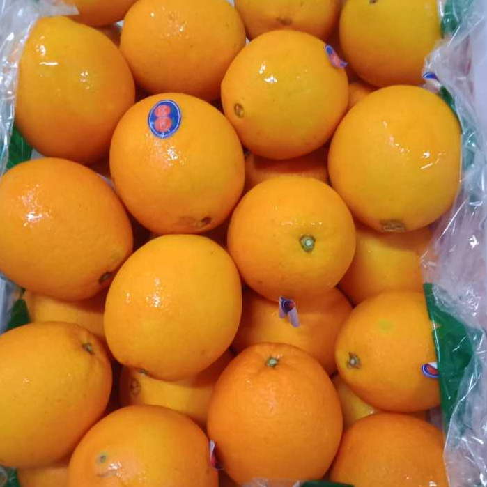 Jual JERUK / ORANGE NAVEL FRESH IMPORT | Shopee Indonesia