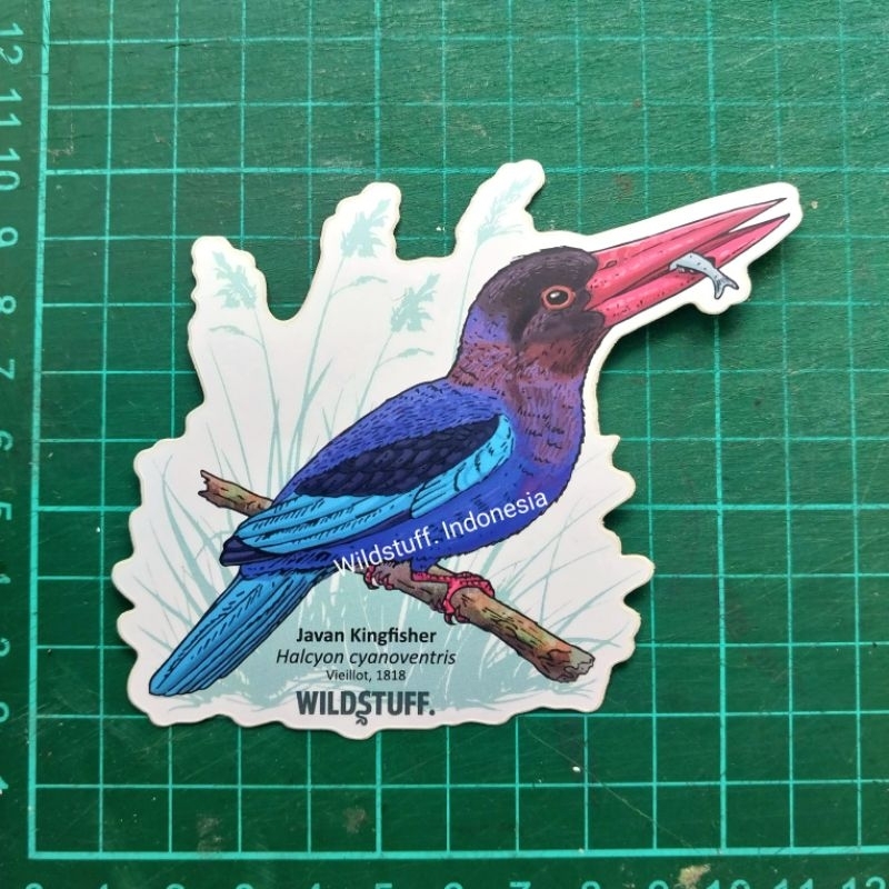 Jual Sticker Wildstuff Seri Burung 005 Javan Kingfisher | Shopee Indonesia