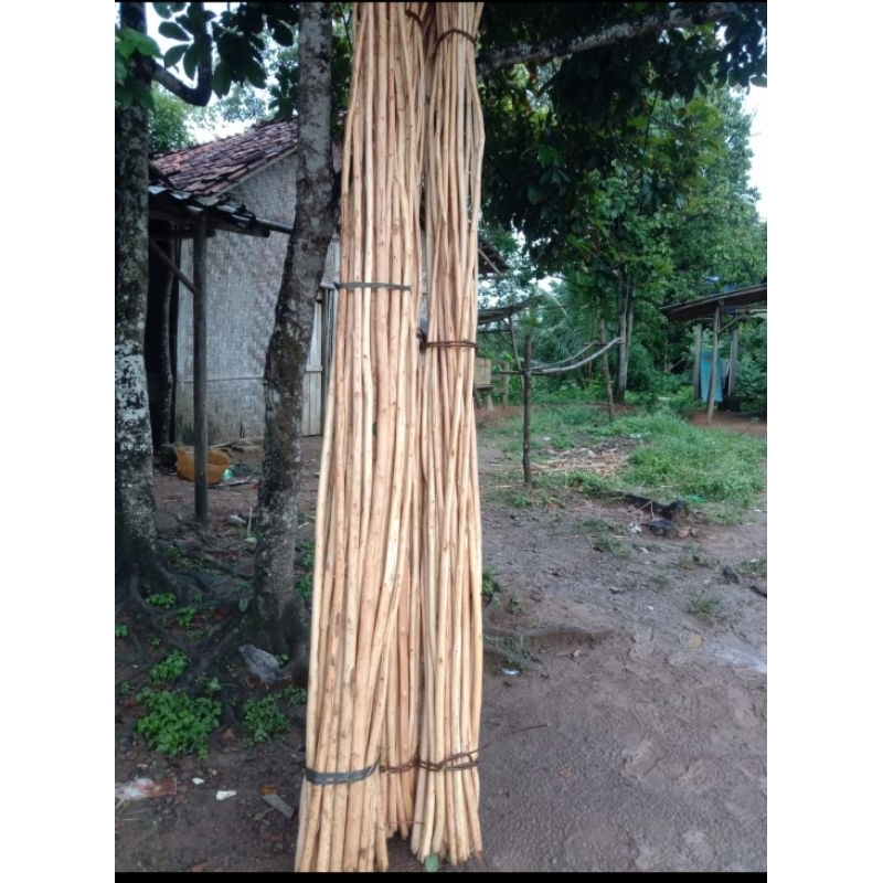 Jual ranting kayu jati kupas 3 mtr | Shopee Indonesia