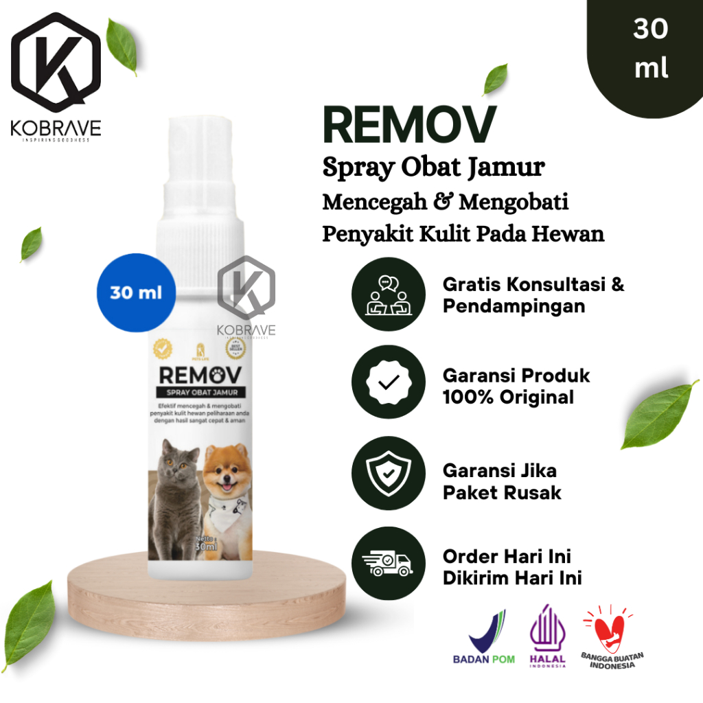 Jual REMOV Spray Obat Jamur Kucing & Anjing Paling Efektif | Shopee ...