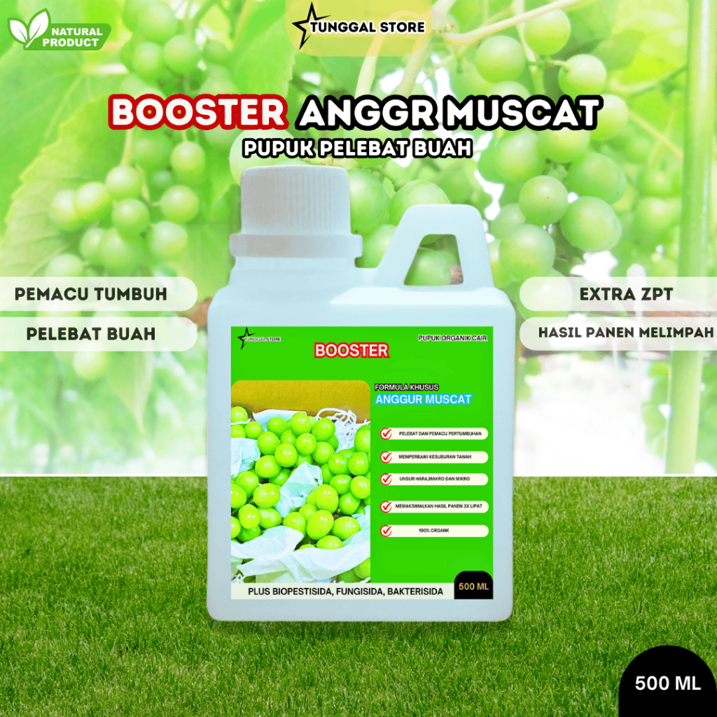 Jual Pupuk Organik Cair Tanaman Anggur Muscat,Booster Pelebat Buah Anggur Muscat,pupuk ...