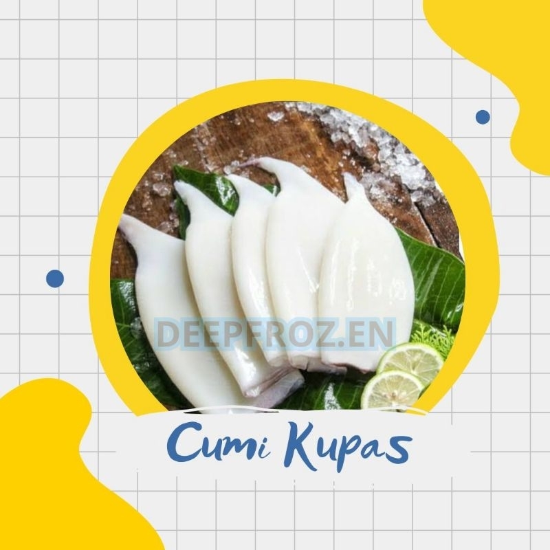 Jual Cumi Kupas Impor | Cumi Tube Premium | Cumi Frozen 1KG | Shopee ...