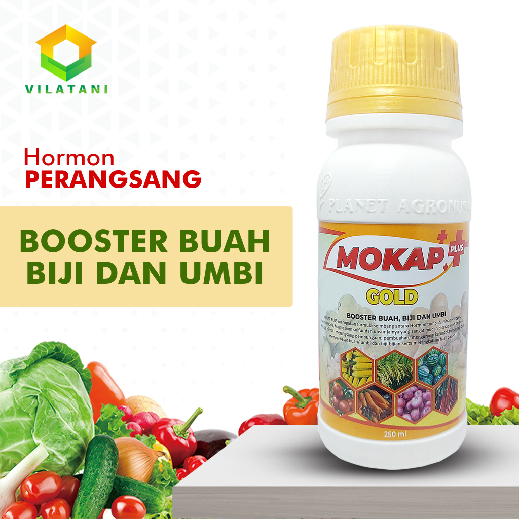 Jual PUPUK BOSTER BUAH, UMBI DAN BIJI MOKAP PLUS GOLD | Shopee Indonesia