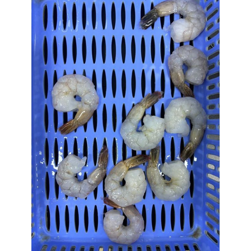 Jual Udang Kupas PTO Size Besar - PND TAIL ON (Masih Ada Buntut ...