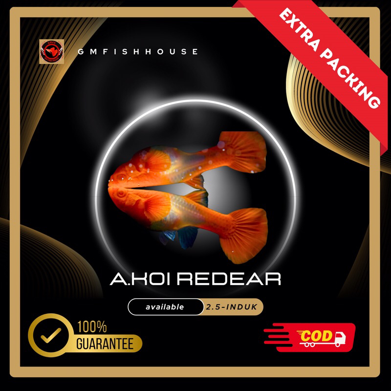 Jual Stiker Guppy Albino koi red ear | Shopee Indonesia