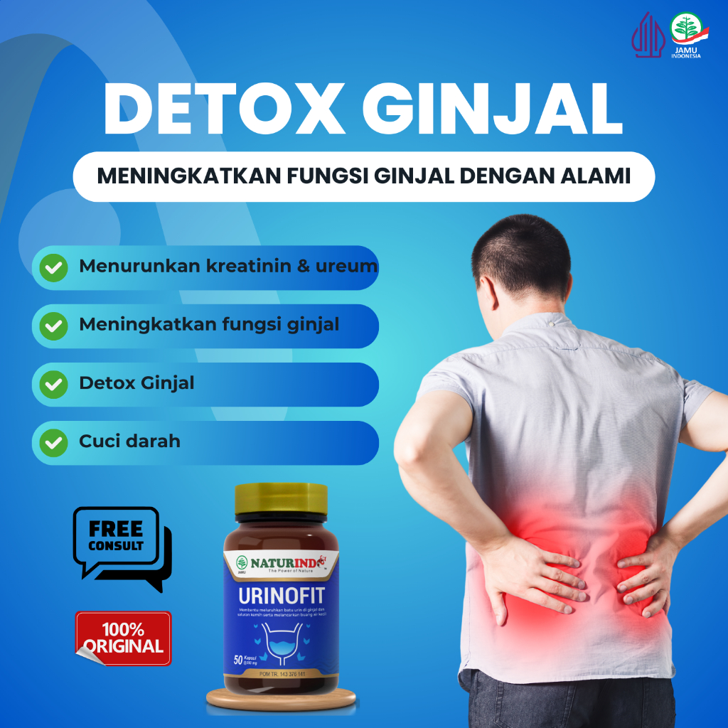 Jual Obat Pembersih Ginjal Detoks Ginjal Peradangan Ginjal ISK Herbal ...