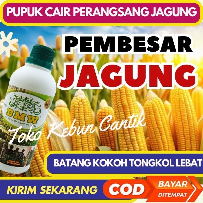 Jual LANGSUNG KIRIM OBAT PEMBESAR JAGUNG AGAR LEBAT DAN BANYAK, NPK CAIR POC BMW isi 500 ML ...