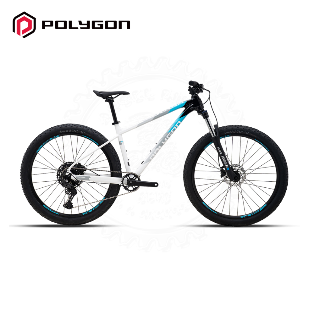 Jual Sepeda POLYGON XTRADA 5 LG WHITE/BLACK 1 x 10 Speed New Series | Shopee Indonesia