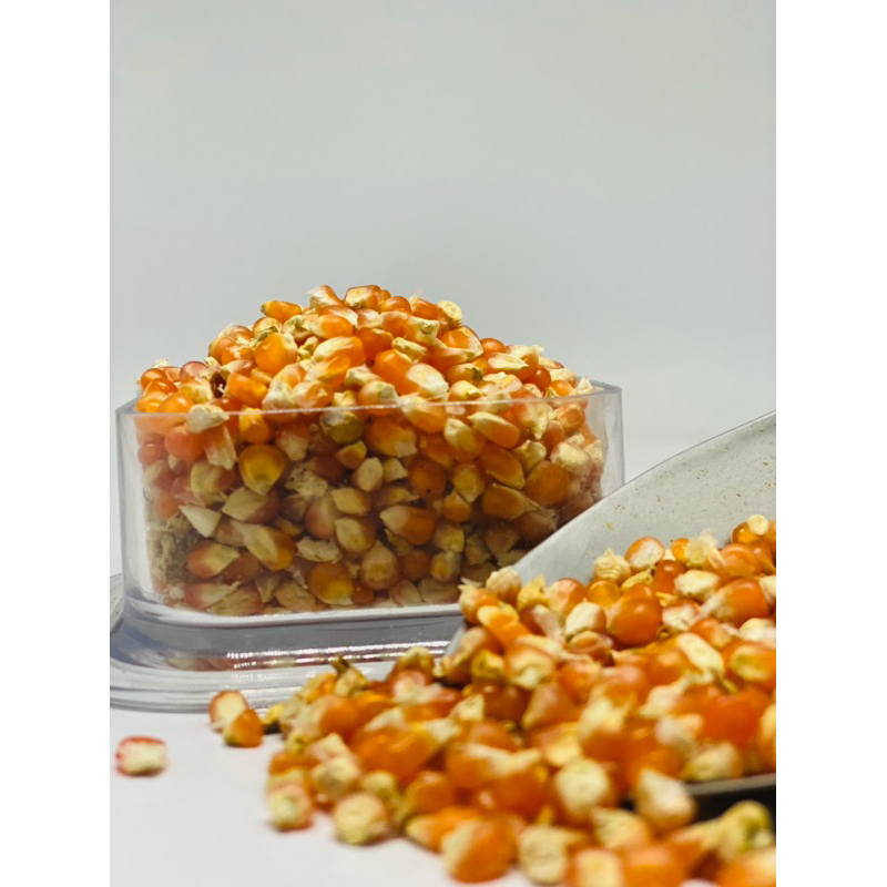 Jual jagung oren/jagung probolinggo berat 1 kg | Shopee Indonesia