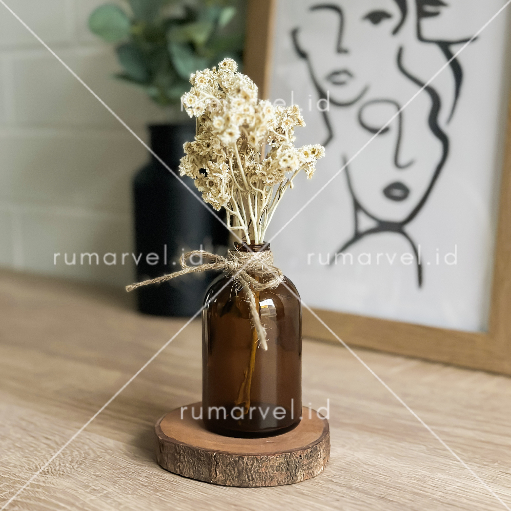 Jual 1 PAKET VAS BUNGA KERING EDELWEIS | VAS AMBER PAJANGAN ESTETIK ...