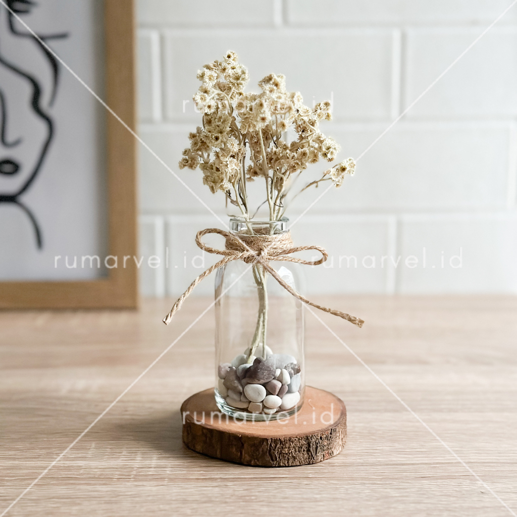 Jual 1 PAKET VAS BUNGA KERING EDELWEIS | VAS PAJANGAN ESTETIK EDELWEIS ...