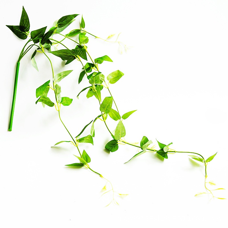 Jual Setangkai Daun Willow Eucalyptus Tanaman Hias Plastik Juntai ...