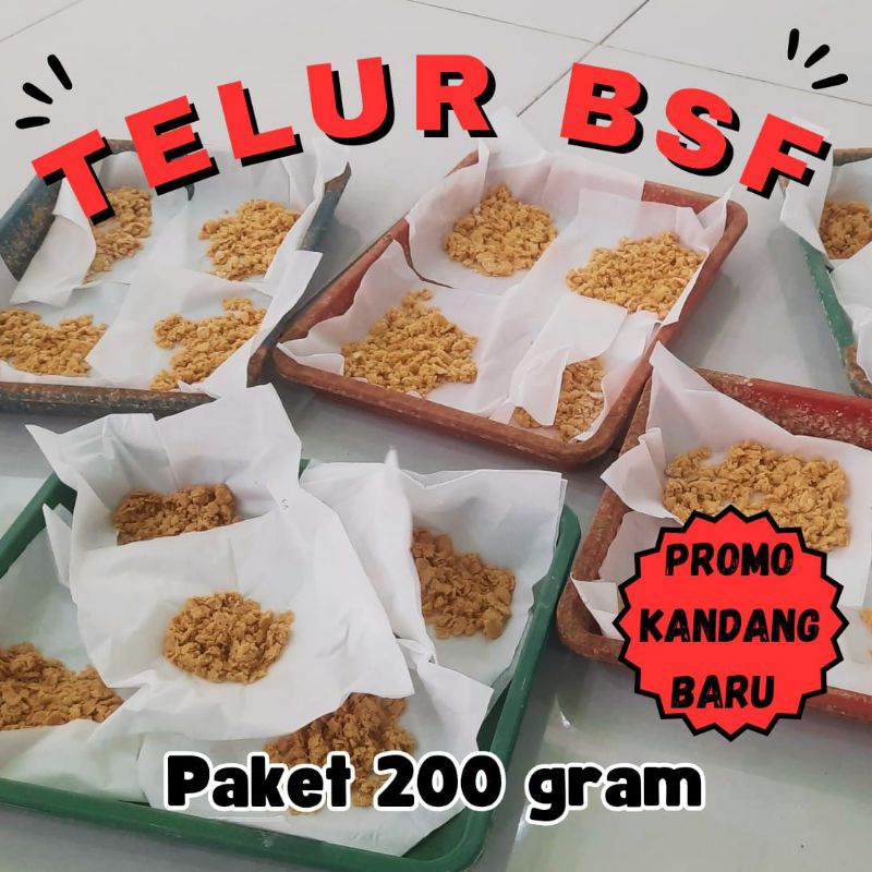 Jual TELUR BSF 200GR | Shopee Indonesia