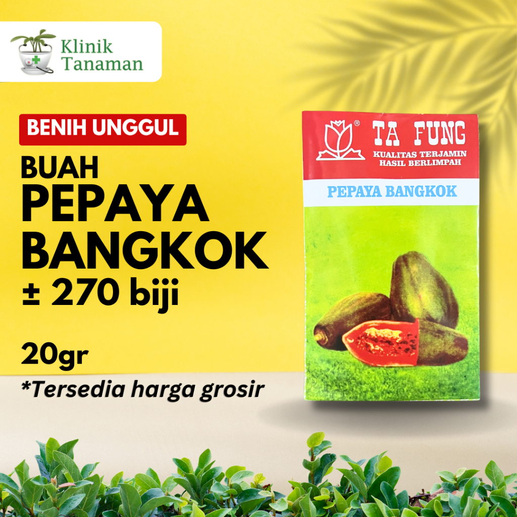 Jual Benih Pepaya Bangkok 5gr (270 Biji) Bibit Pepaya Ta Fung Benih ...