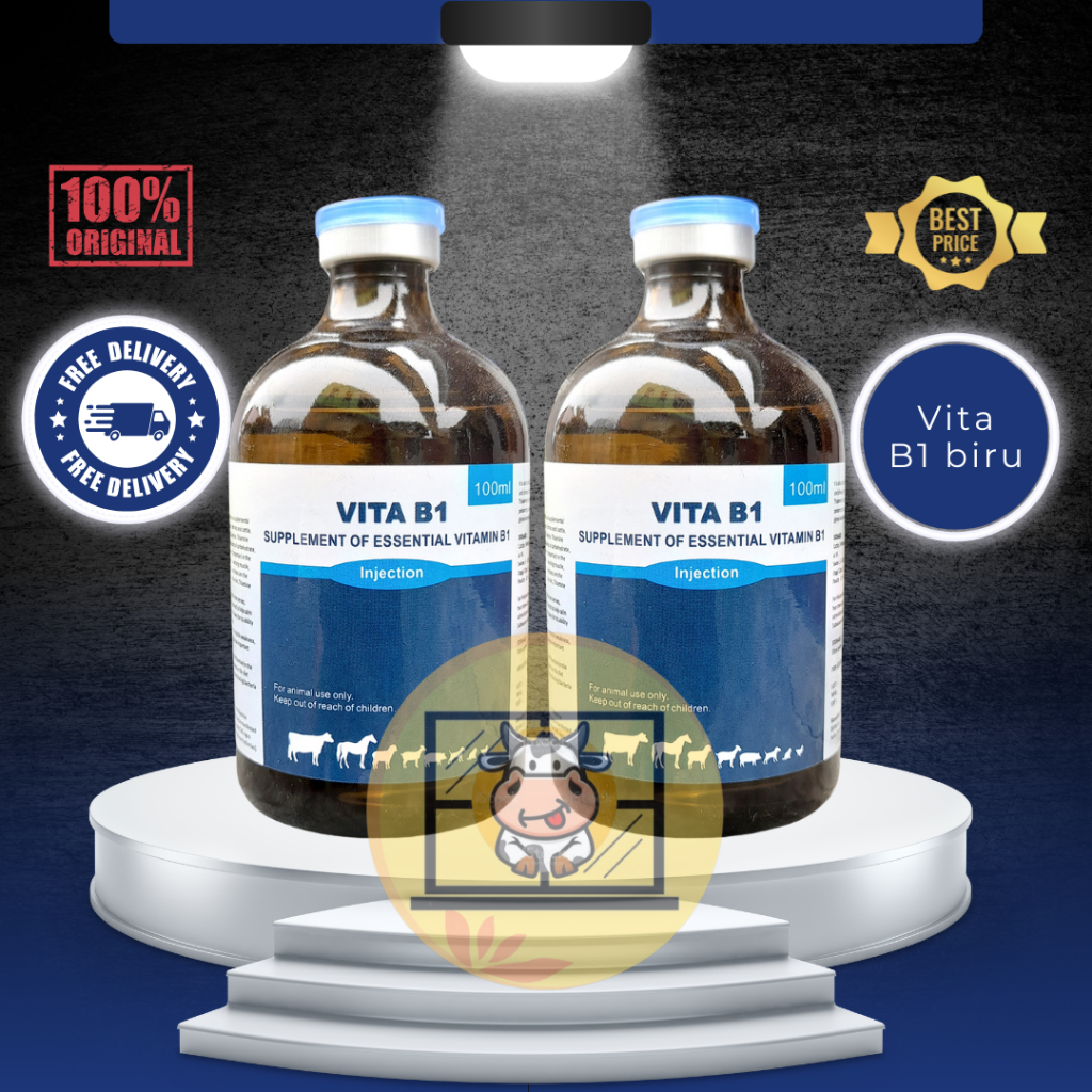 Jual VITA B1 100 ML SUPLEMEN VITAMIN B1 ESENSIAL sebagai tambahan ...