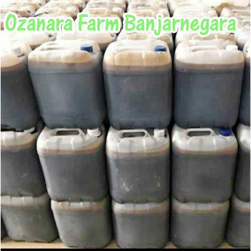 Jual Molasse (tetes tebu)1 jrigen isi 20 liter, berat +kemasan 30kg ...
