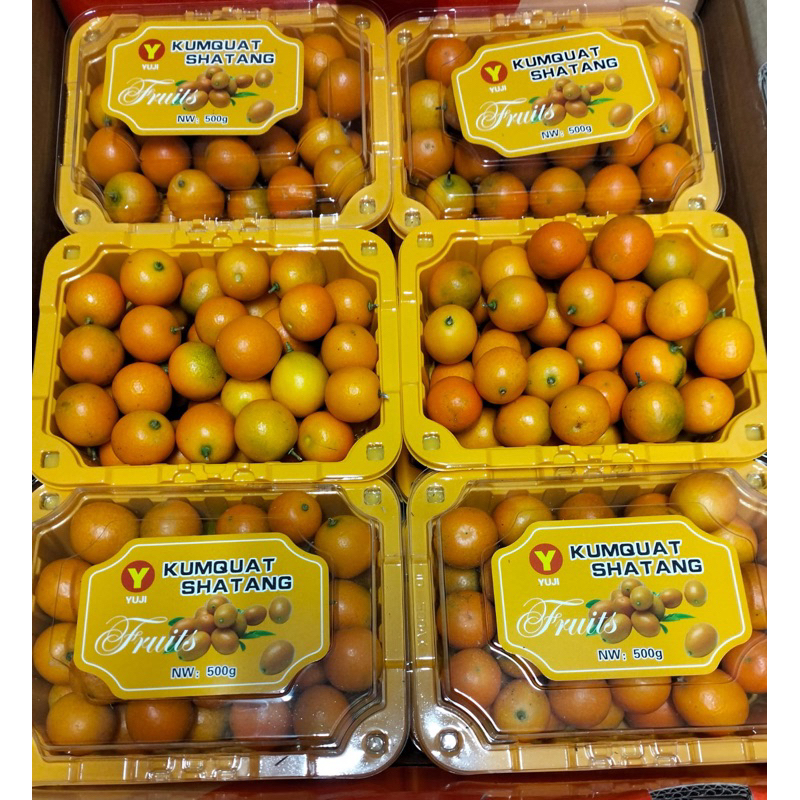 Jual jeruk kimkit shatang bisa dimakan sama kulitnya | Shopee Indonesia