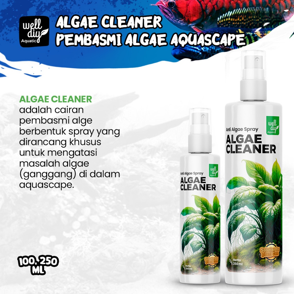 Jual Cairan Penghilang Pembersih Algae Aquascape Aquarium Aman untuk ...
