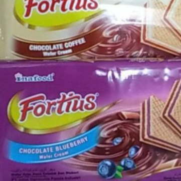 Jual MURAH WAFER FORTIUS CHOCOLATE BLUEBERRY 70 GRAM X 4 PICIS | Shopee ...