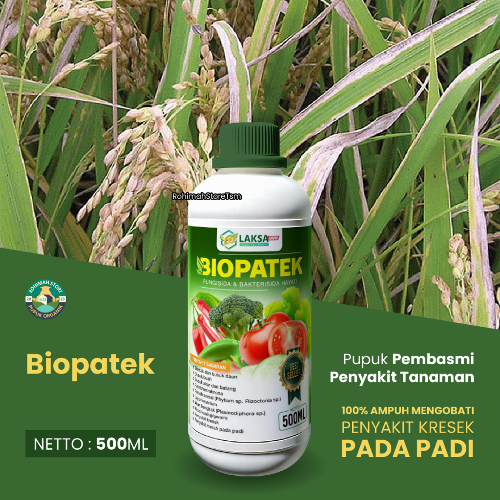 Jual Obat Penyakit Tanaman Padi Kresek, Daun Hawar, Merah Daun Padi ...