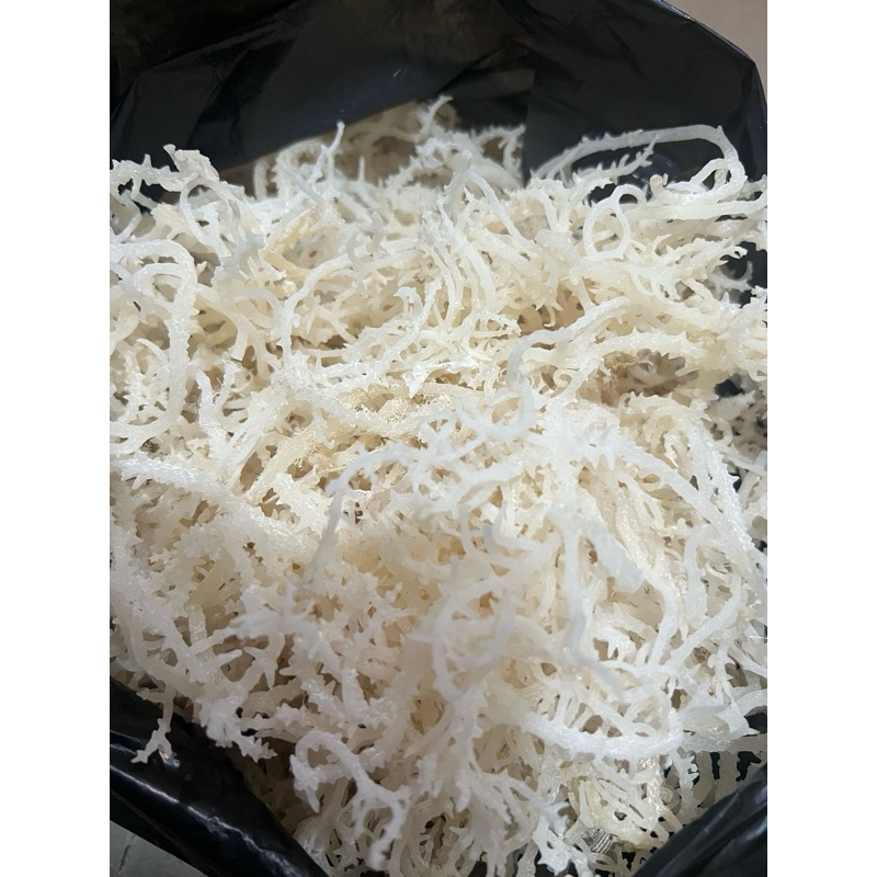 Jual Rumput Laut kering normal 500 gr spinosum | Shopee Indonesia