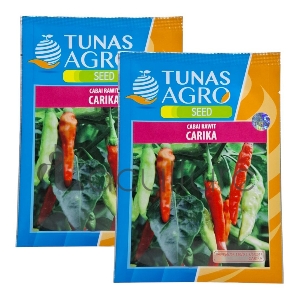 Jual Benih Cabe Cabai Rawit CARIKA Isi 10 gram Tunas Agro Seed | Shopee ...