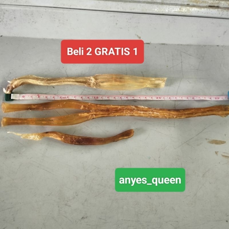 Jual otot kaki sapi kering/Urat sapi/Urat kaki sapi/ Premium tendon ...